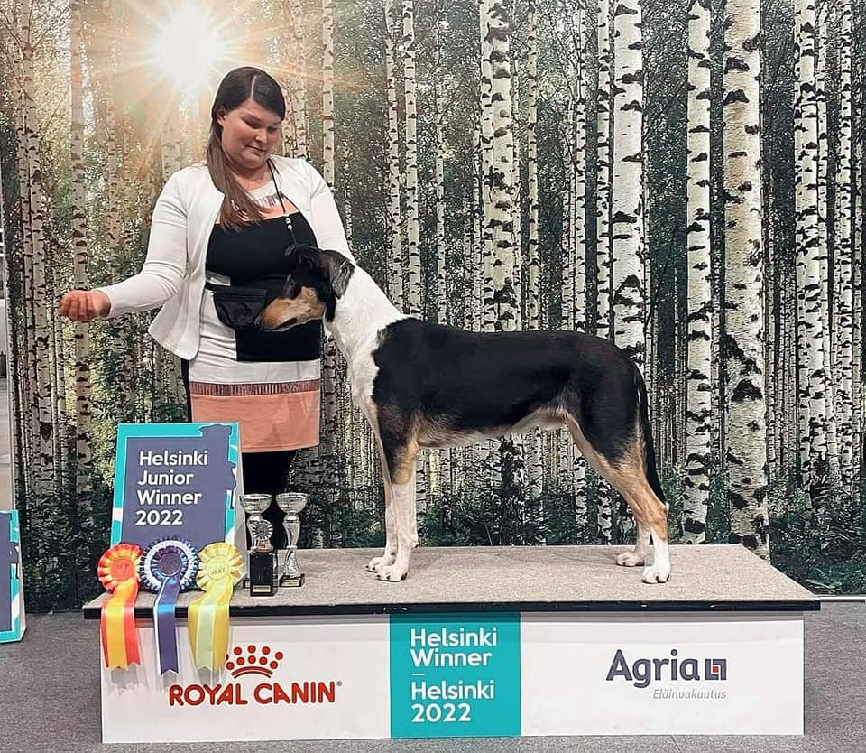 Elmosta JMVA & HEJV-22! – Lifedream